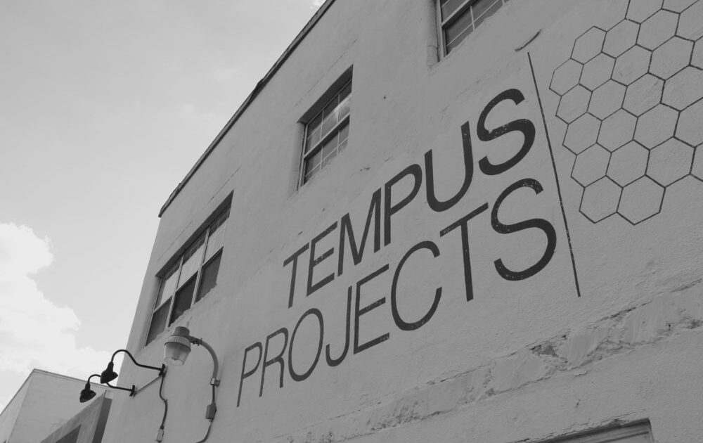 'Cultural Encounter' Features Artist Jenn Ryann Miller - Alive Tampa Bay